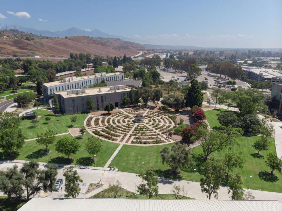 Cal Poly Pomona Psychology Programs - Psychology California